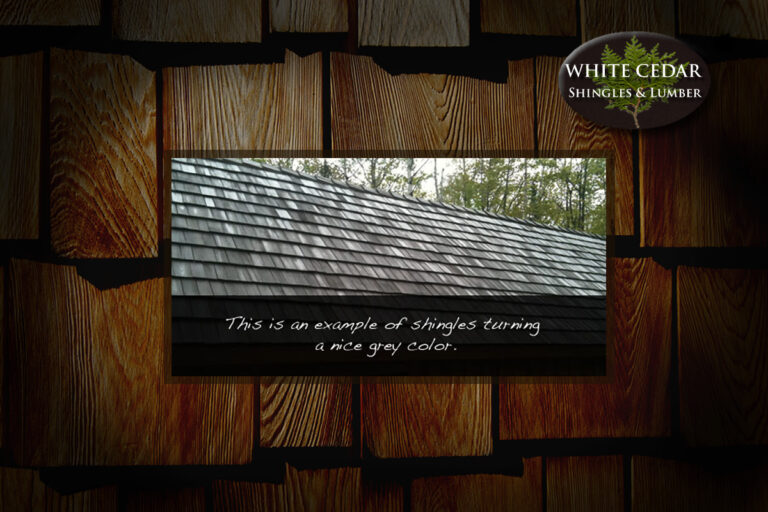 Gallery - White Cedar Shingles